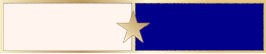 Two panel commendation bar with single star C580_1: Badges Ex Cetera