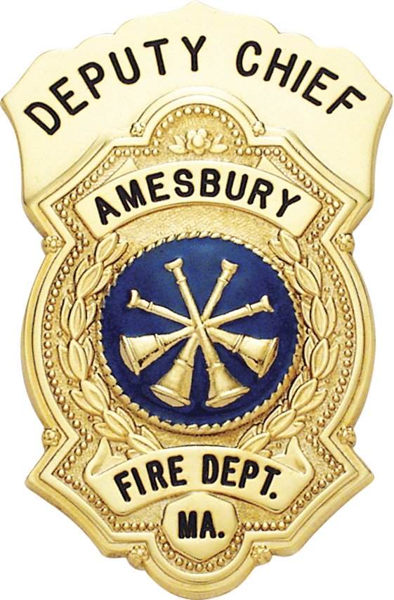 Shield Type Badge M-100-D: Badges Ex Cetera