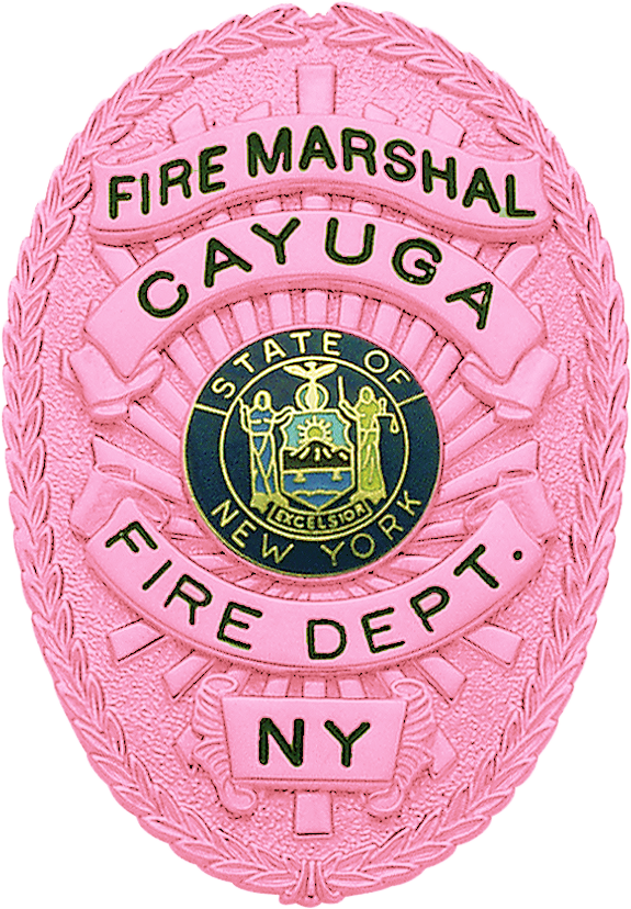 Cancer Awareness Oval badge M260_PK: Badges Ex Cetera