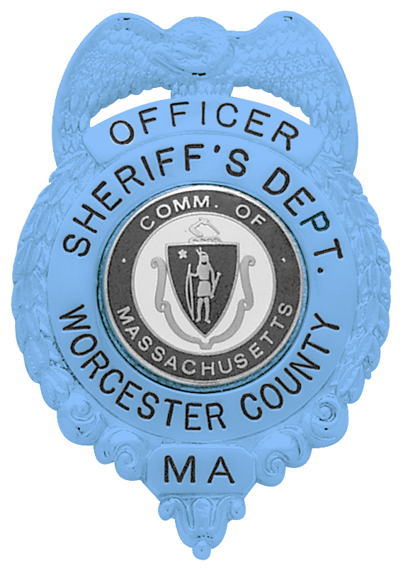 Eagle Topped Badge S163_BL: Badges Ex Cetera