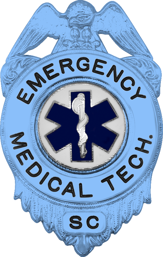 Eagle Topped Badge S175_BL: Badges Ex Cetera