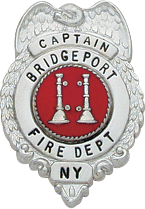 Eagle Topped Badge S268: Badges Ex Cetera