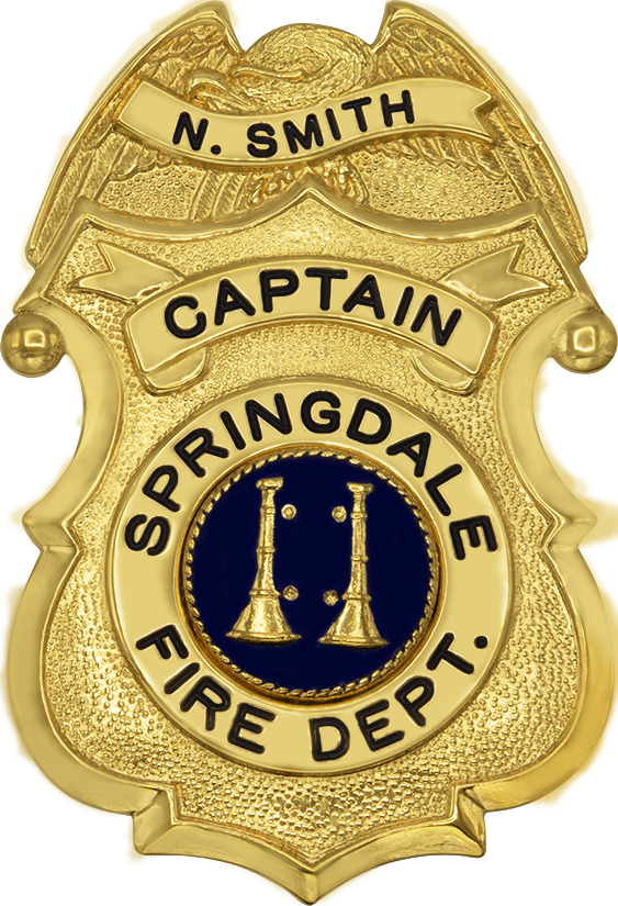 Eagle Topped Badge S274V: Badges Ex Cetera