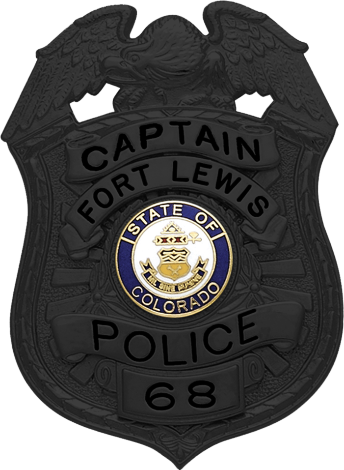 Matte Black Eagle Topped Shield Type Badge S522_MBK: Badges Ex Cetera