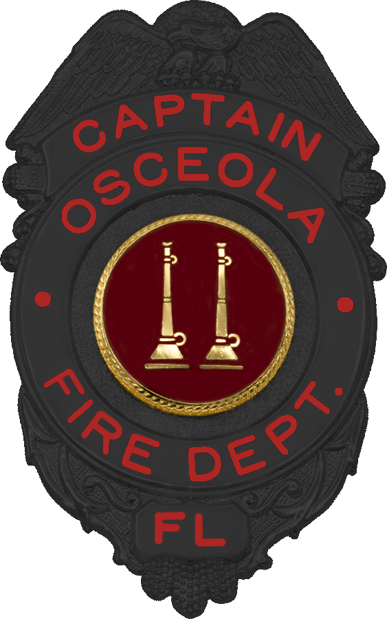 Matte Black Eagle Topped Badge S528_MBK: Badges Ex Cetera