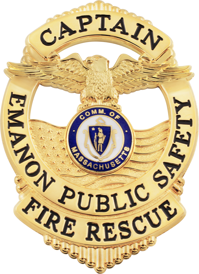 Eagle Badge Flag Draped badge S671-P: Badges Ex Cetera