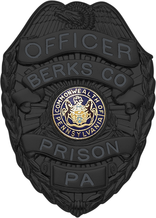 Matte Black Eagle Topped Badge S-89_MBK: Badges Ex Cetera