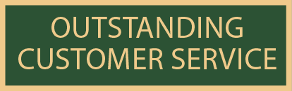 One panel Outstanding Customer Service service award SAB3_183: Badges ...