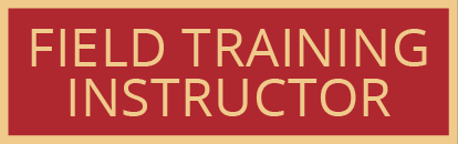Field Training Instructor service award SAB3_208: Badges Ex Cetera