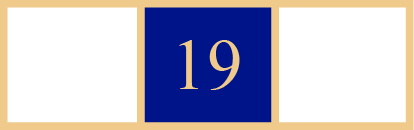 19 year service award SAB3_270: Badges Ex Cetera