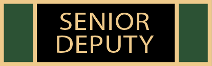 Senior Deputy service award SAB3_304: Badges Ex Cetera