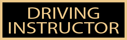 One panel Driving Instructor service award SAB3_374: Badges Ex Cetera