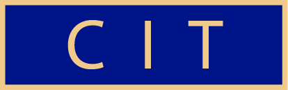 One panel CIT service award SAB3_377: Badges Ex Cetera