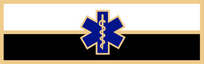 EMS service award SAB3_389: Badges Ex Cetera