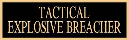 Tactical Explosive Breacher service award SAB3_419: Badges Ex Cetera