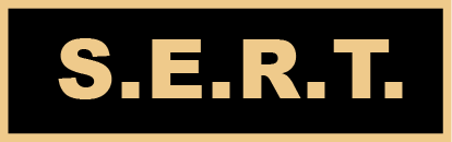 S.E.R.T. service award SAB3_422: Badges Ex Cetera