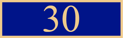 30 year service award SAB3_427: Badges Ex Cetera