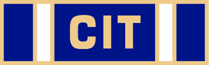 Five panel CIT service award SAB3_497: Badges Ex Cetera