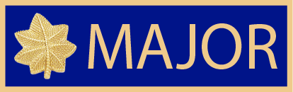 Major service award SAB3_513: Badges Ex Cetera