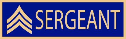 Sergeant service award SAB3_515: Badges Ex Cetera