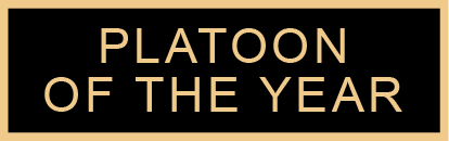 Platoon of the Year service award SAB3_570: Badges Ex Cetera