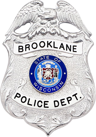 Eagle over shield badge SH222: Badges Ex Cetera