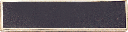 One Section Laser Engravable Commendation Bar