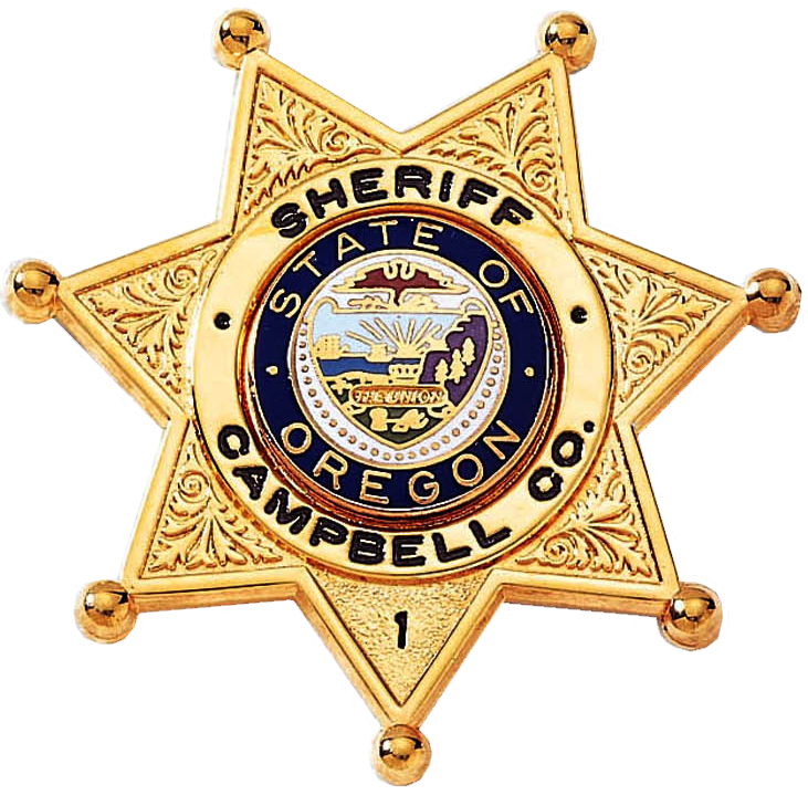 7-Point Star Badge
