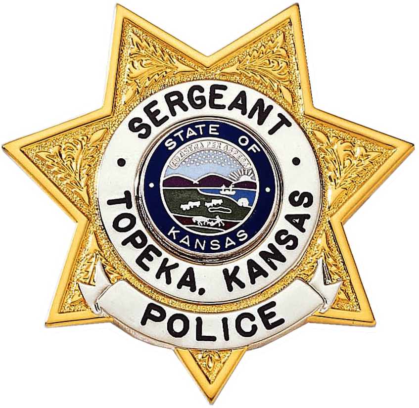 Seven Point Star Badge with Circular Panel