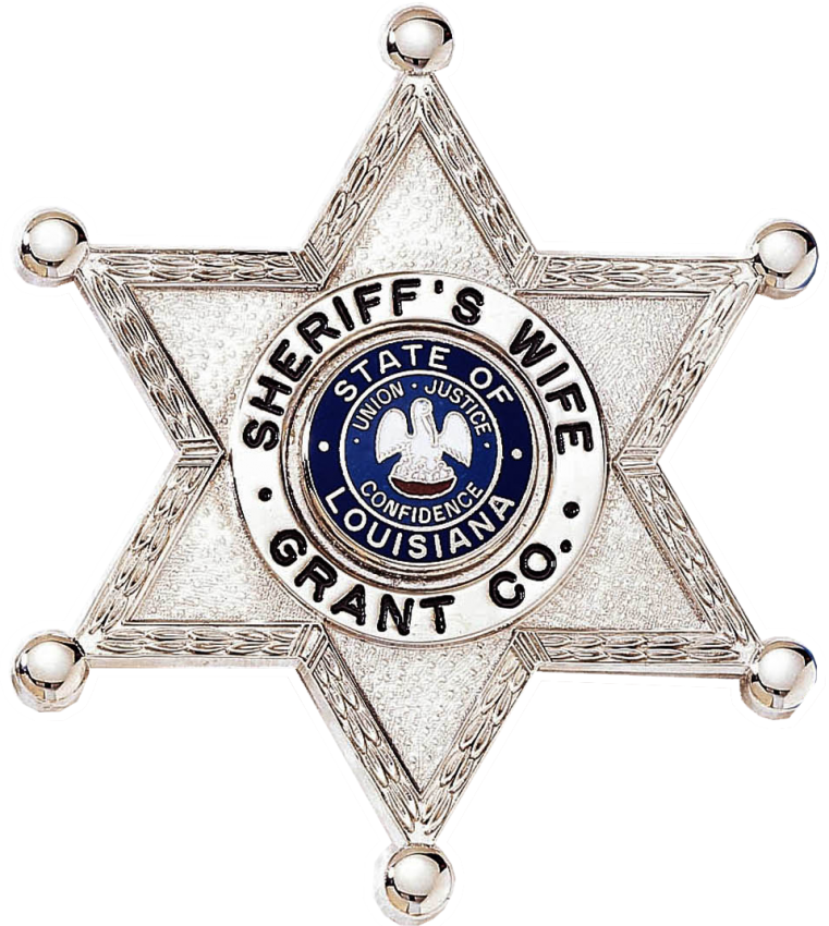 6-Point Star Badge