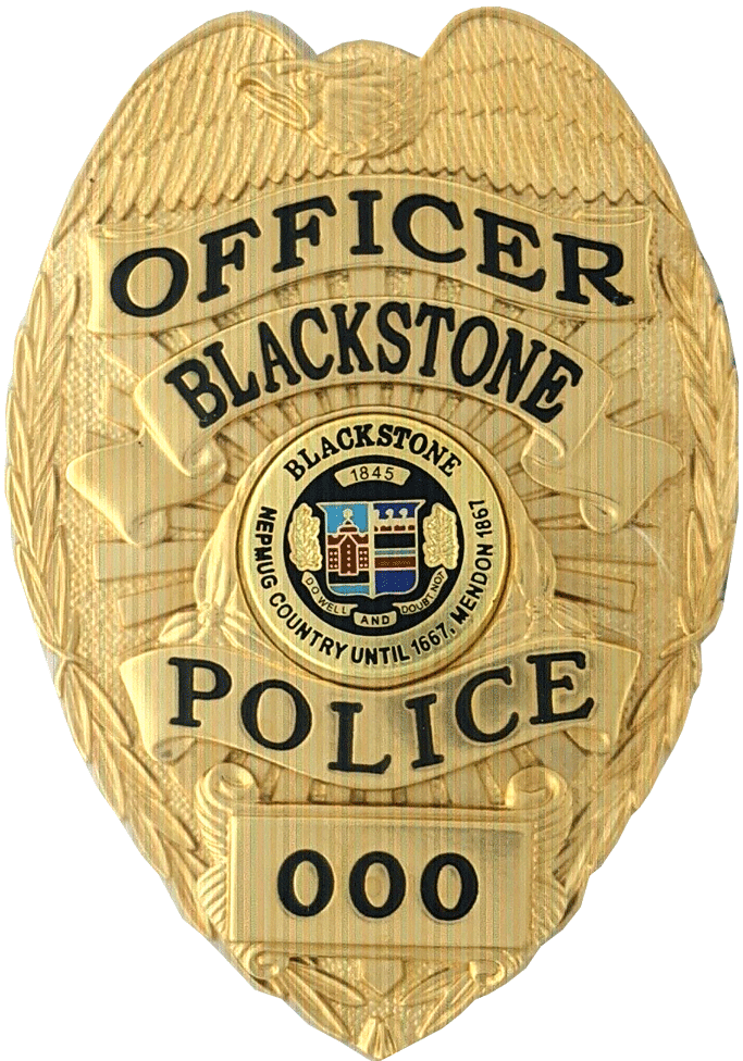 Badge with Applied Panels with Eagle Head in Die