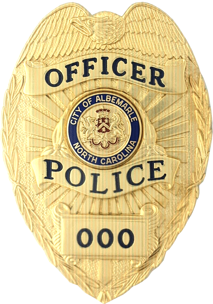 Badge with Applied Panels with Eagle Head in Die