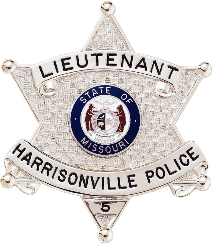 Six Point Star Badge