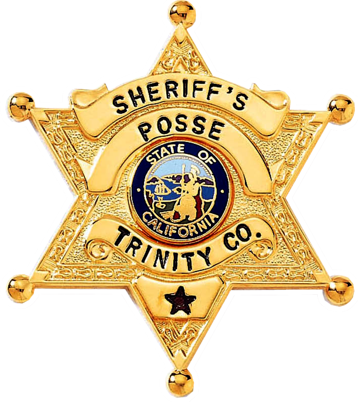 6-Point Star Badge