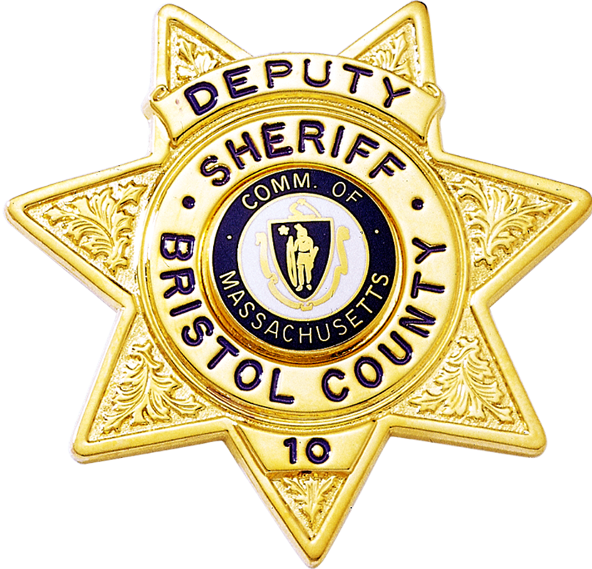 Seven Point Star Badge with Circular Panel