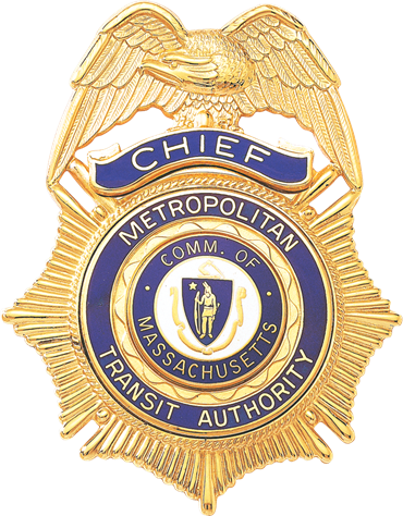 Starburst with Eagle and Reverse Enamel