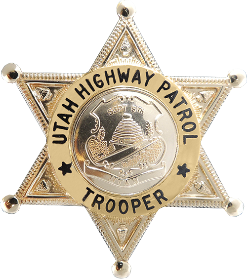 Six Point Star Badge