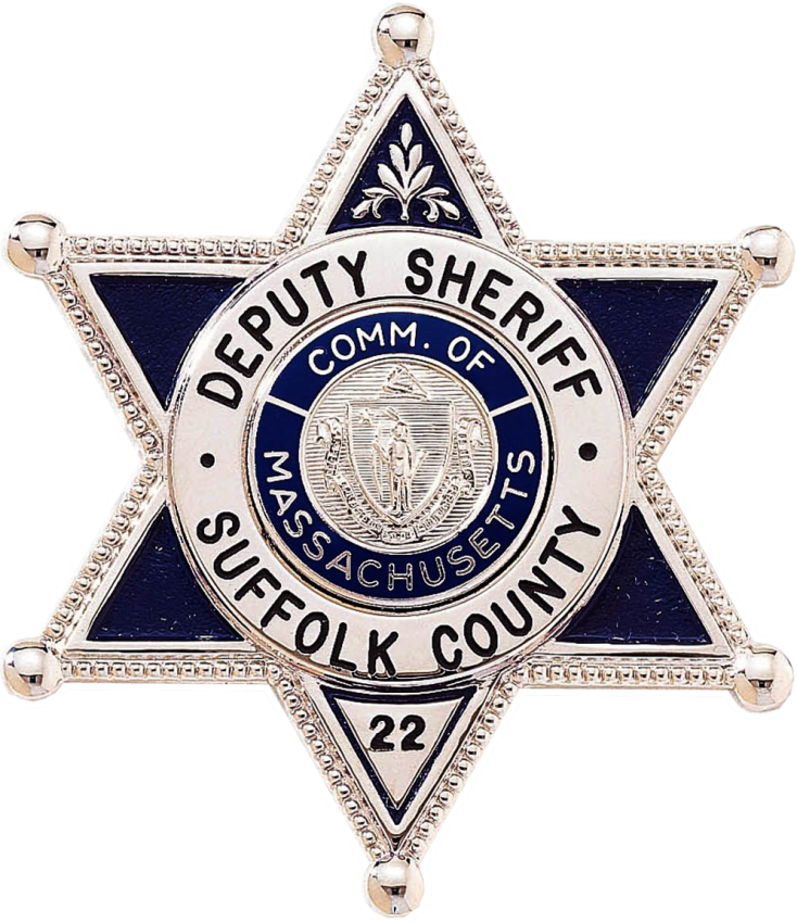 6-Point Deluxe Star Badge with Circular Panel