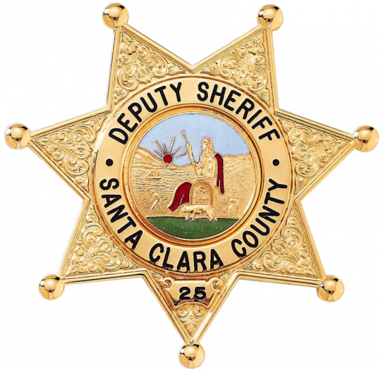 7-Point Star Badge