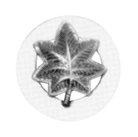 Major Or Lt Col. Insig.