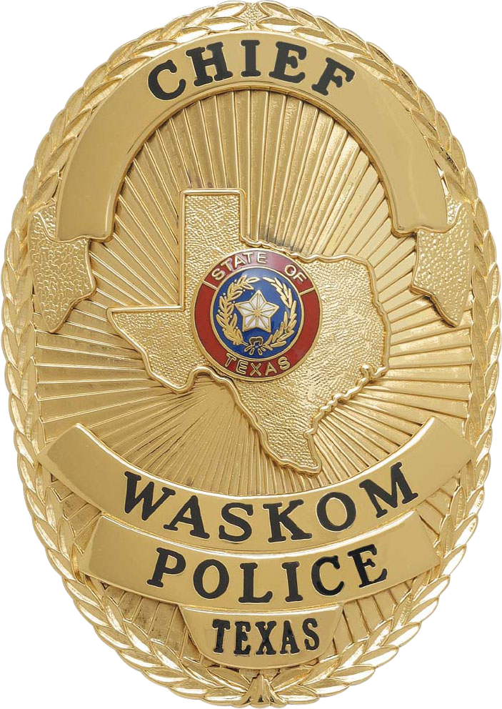 Oval badge with State of Texas S525TX: Badges Ex Cetera