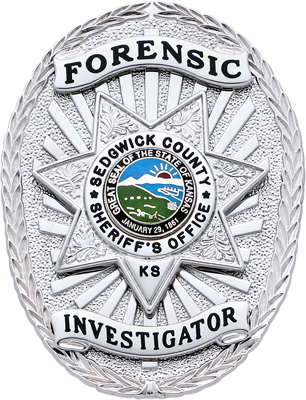 Oval badge with seven point star S577AD2: Badges Ex Cetera