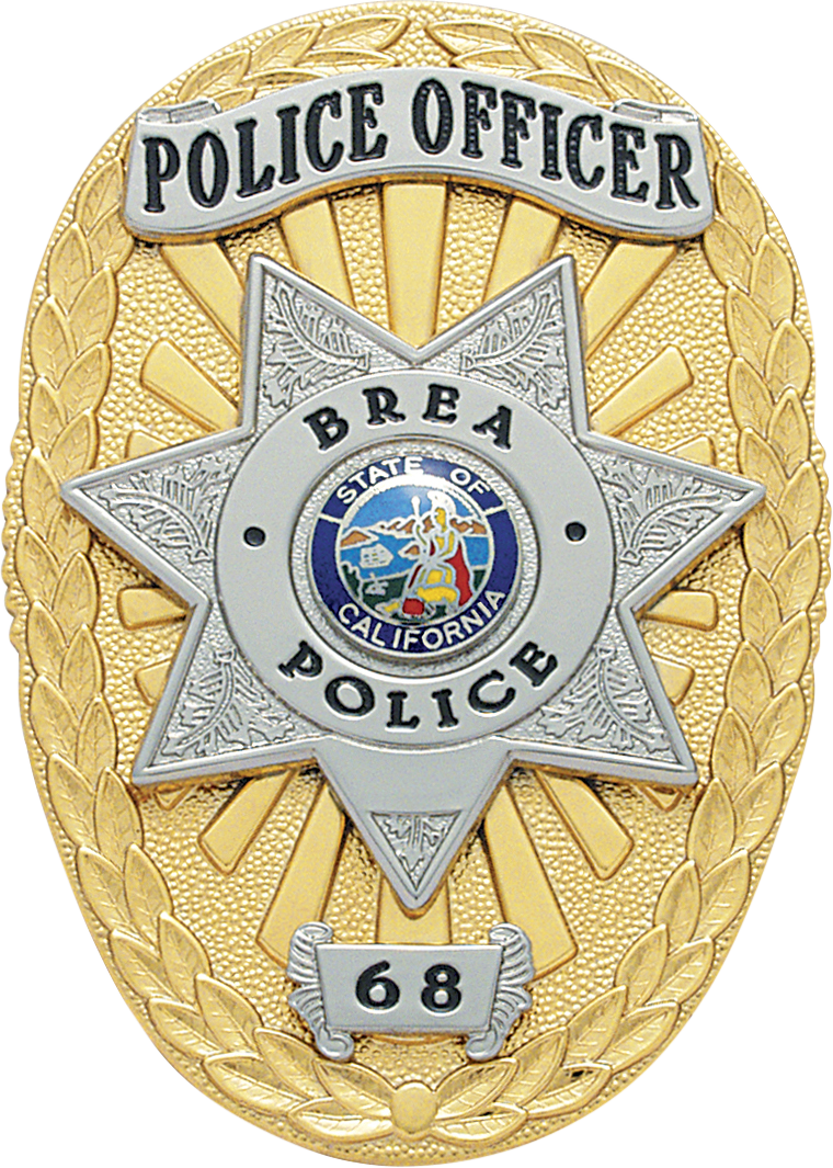 Oval badge with star S68: Badges Ex Cetera