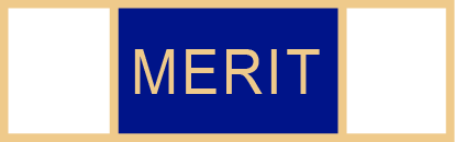 Merit service award SAB3_29: Badges Ex Cetera